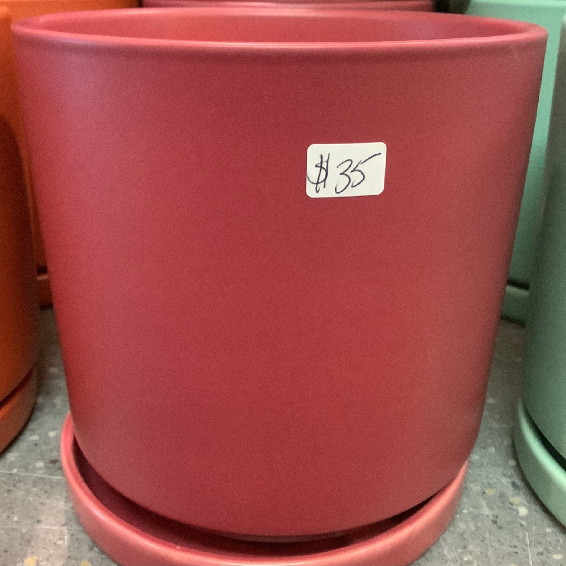 Punch 6.25” Pots | The Pottery Jungle