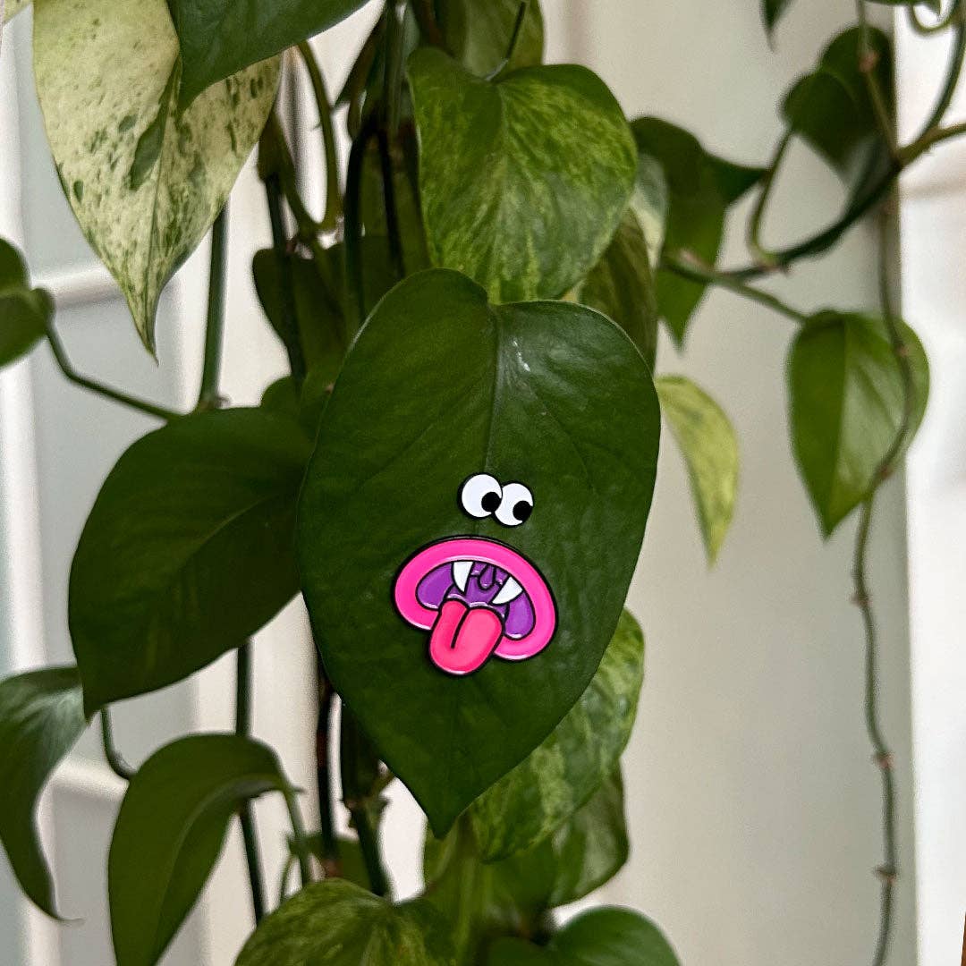 Drac Mouth - 🌱 Plant Magnet 🧲 | The Pottery Jungle